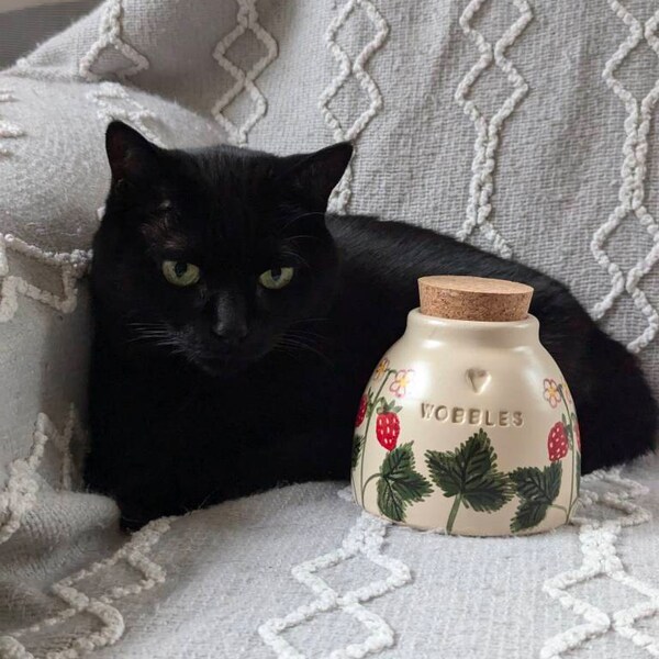 Strawberries, Pet Urn, Cat Urn, Pottery Urn for Animals, Floral - Etsy