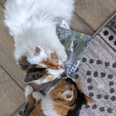 Refillable Catnip Cat Mat - Etsy