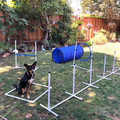 Better Sporting Dogs Agility A-frame Dog Agility Equipment - Etsy
