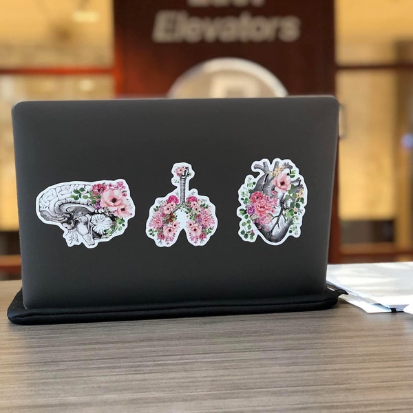 Human Brain Stickers, Anatomy Art, Floral, Plants, Eucalyptus, Stickers ...