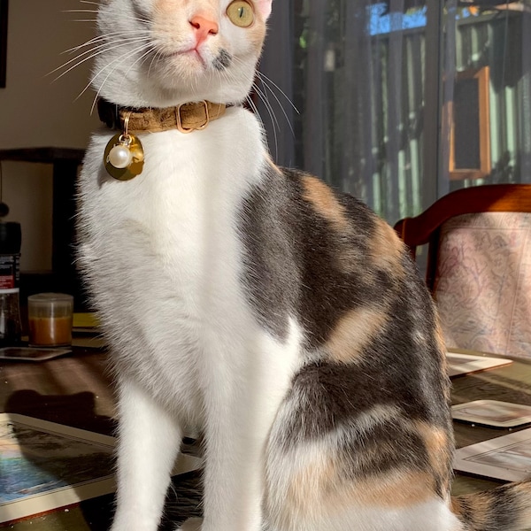 Breakaway Green+sage+forest Velvet Cat Collar Bowtie Leash Set ...