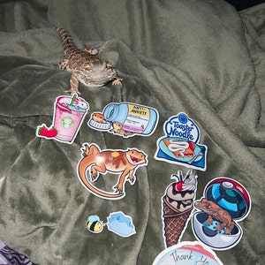 Ball Python Heart Sticker - Etsy