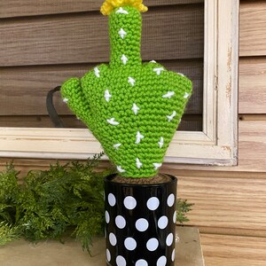 Cactus Hand CROCHET PATTERN / Amigurumi Cactus PDF English - Etsy