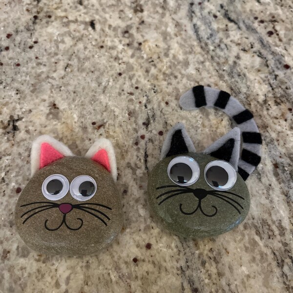 Unique Rock Friend: Cowboys Rock With Brown Hat - Funny Rock Pal ...