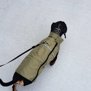 Light Jacket for Dog Raincoat for Dog Clothing for Dog Dog Wear Pet ...