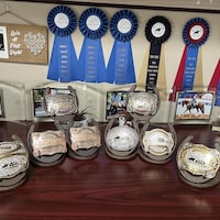 Horse Ear Bonnet Hanger - Etsy