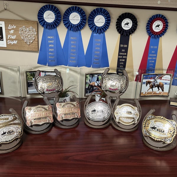 Western Trophy Belt Buckle Display - Etsy