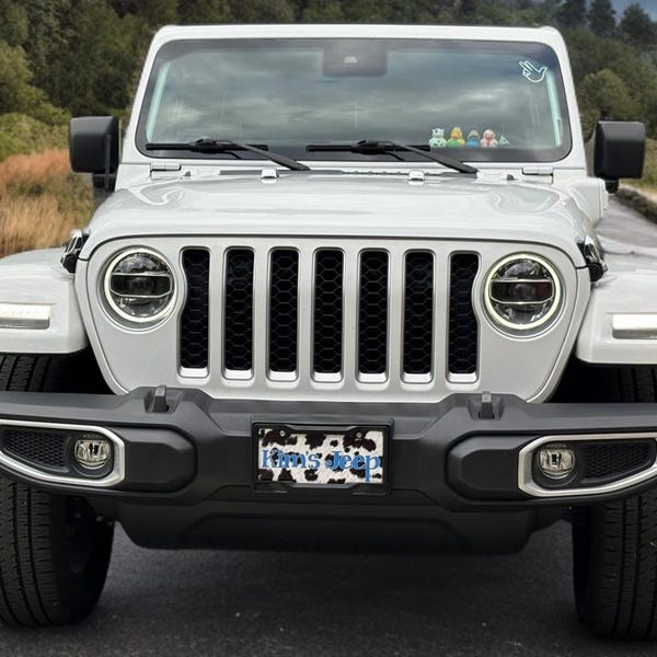 Paint Splatter License Plate, Personalized Novelty Plate, Front of Car ...