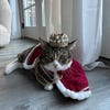 Crochet Pattern: Flared Toque Hat for Cats, PDF Instructions for Cat ...