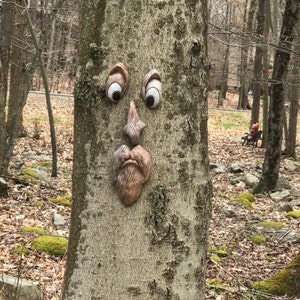 Mr. Grumpy Stump Tree Face Fun Birthday Gifts Made in - Etsy Canada