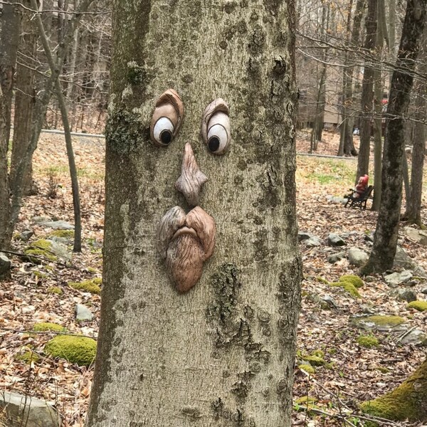 The ORIGINAL & GENUINE Mr. Grumpy Stump Tree Face Gift for Dad Fun ...