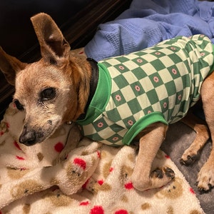 Black Colorful Striped Dog Top Liverpool Textured Knit Dog - Etsy