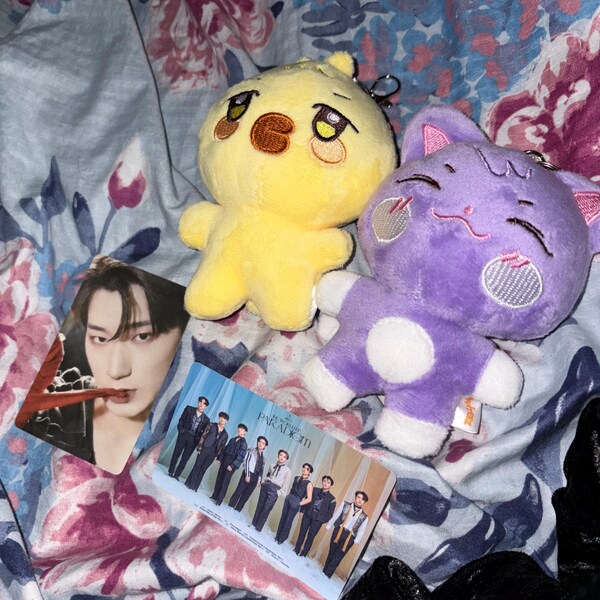Skzoo Mini Backpack, Embroidered Fan Made Mini Bag for Stray Kids Fan ...