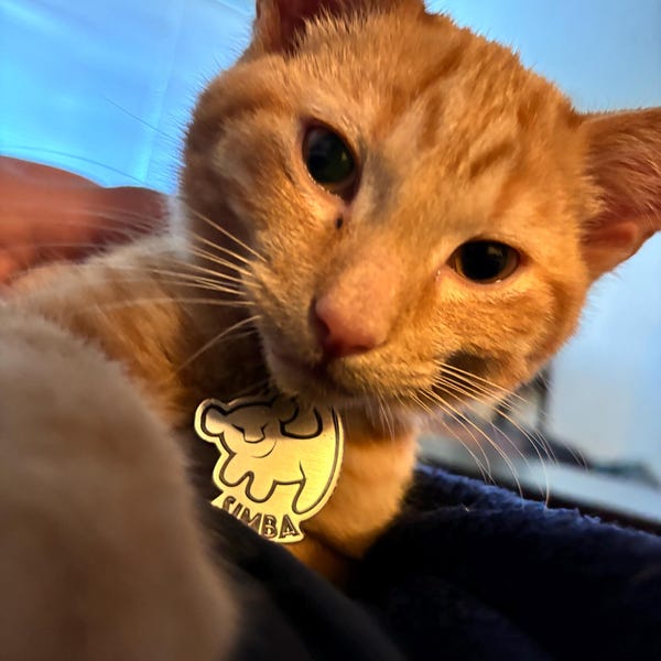 Personalized LED Light up Name Keychain USA Made Color Changing ...