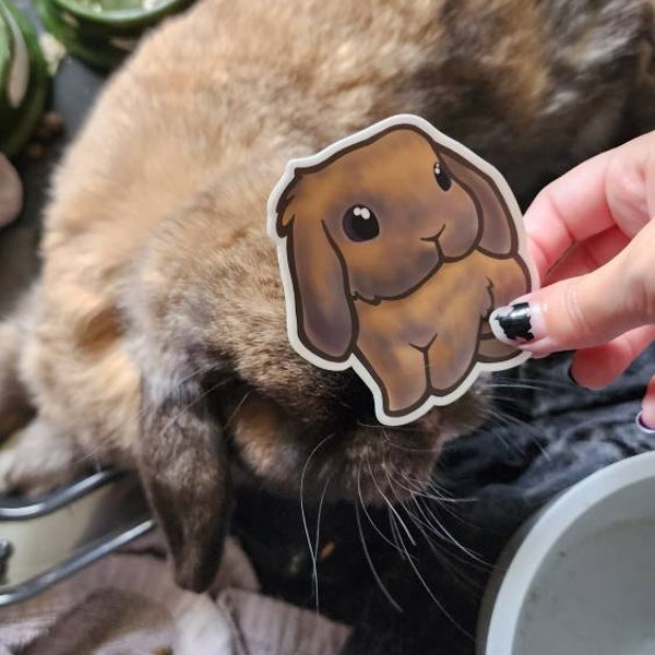Blue Tort Lop Bunny Sticker; Printed Adorable Rabbit Vinyl Sticker ...