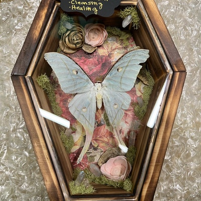 Papillio Ulysses Butterfly Coffin W/ Purple Quarts - Etsy
