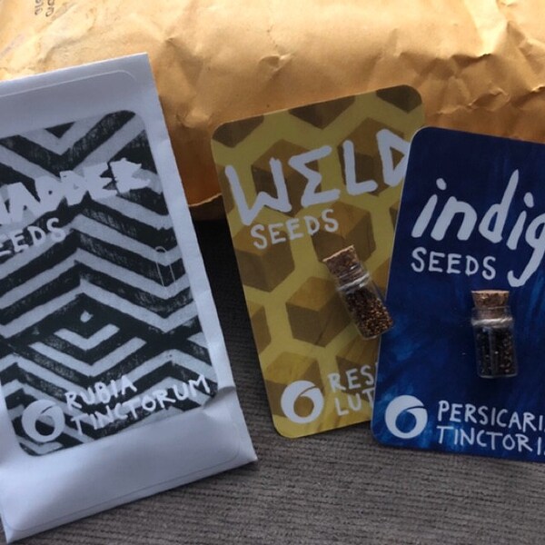 Weld Seeds : Yellow Natural Dye Plant - Etsy