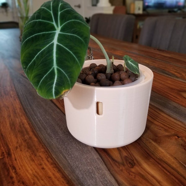 LECA Pots Self Watering Planter for Houseplants 5.5 Inch 3-pack ...