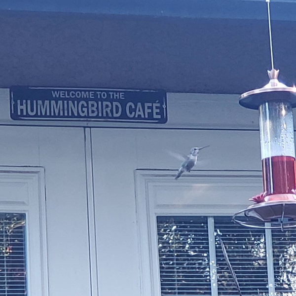 Hummingbird Feeder Sign - Welcome to the Hummingbird Café - Backyard ...
