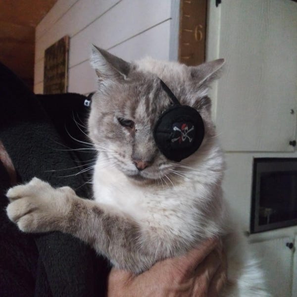 Cat Eye Patch. Custom Designs. Cotton Fabric - Etsy