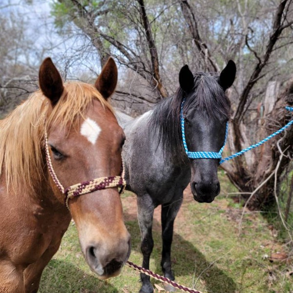 4-knot Rope Halter Only - Assorted Colors - Newborn/foal/mini/yearling/weanling/arabian/average ...