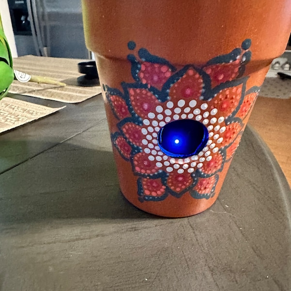 Spy Camera Enclosure Pot Custom Made - Etsy