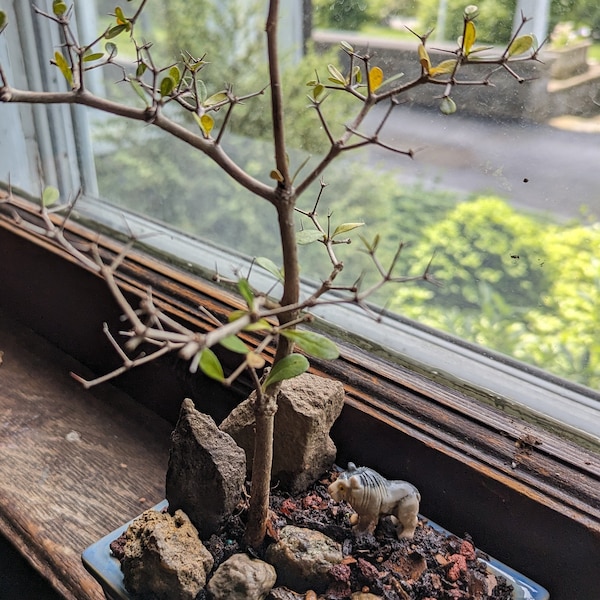 Chakra Set - Chakra Candle Set - Chakra Crystal Set - Chakra Set 1 - Etsy