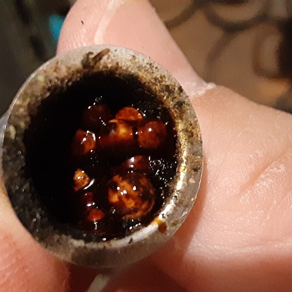 Cleanbuzz® Castaway™ Smoking Pipe System. REMOVES Nasty, Messy, Yucky ...