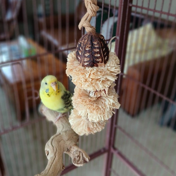 Crazy Daisy - Natural Grass Chew Toy for Small and Medium Sized Birds ...