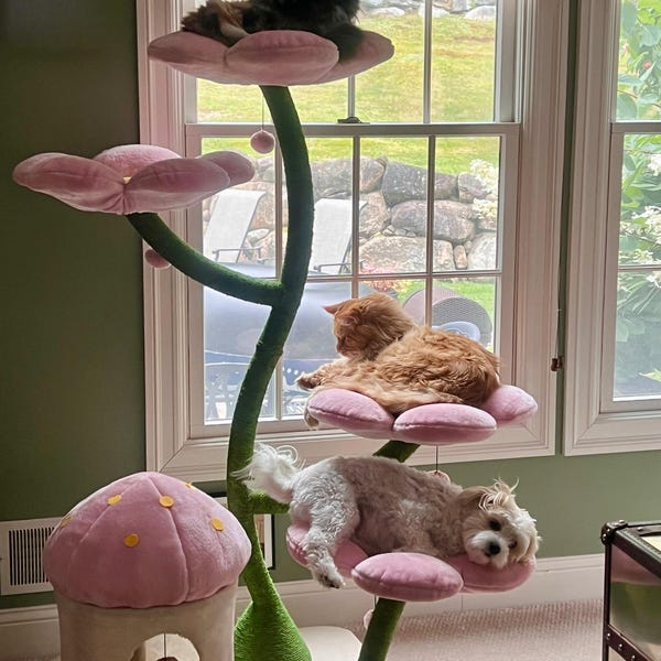 Wood Floral Cat Tree Tower, Wooden Cat Tower, Modern Cat Climbing Tree ...