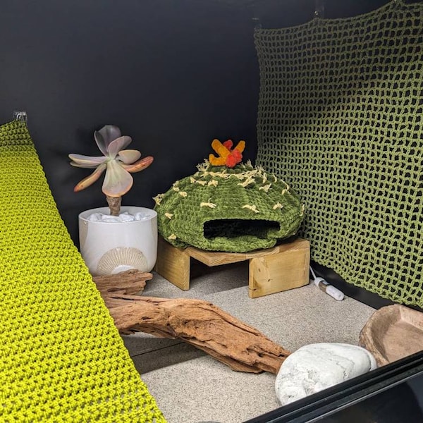 Reptile Climbable Wall | Climbing Wall for Reptiles | Reptile Climbable ...