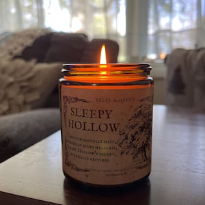 The Old Library Bookish Candles Literary Candle Gift for Librarian ...