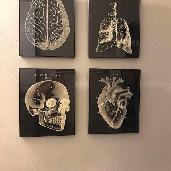 ANATOMY PRINT SET of Four Anatomy Charts , Anatomy Poster, Scientific ...