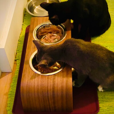 Wooden Elevated Stand for Cats and Small Dogs Healthier Feeding Stand ...