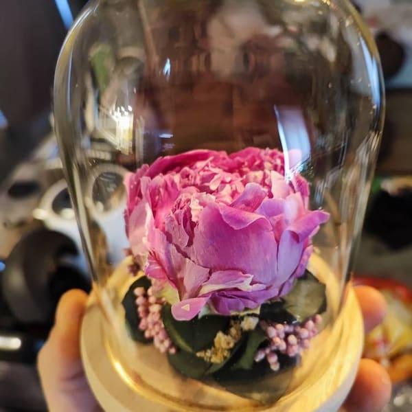 Eternal Peony Under Glass Dome SECRET GARDEN Eco Responsible Gift ...