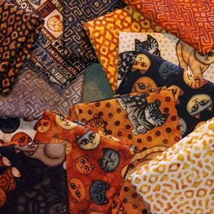 Jungle Animal Border Stripe Cotton Fabric Wee Safari 25641-10 Northcott ...