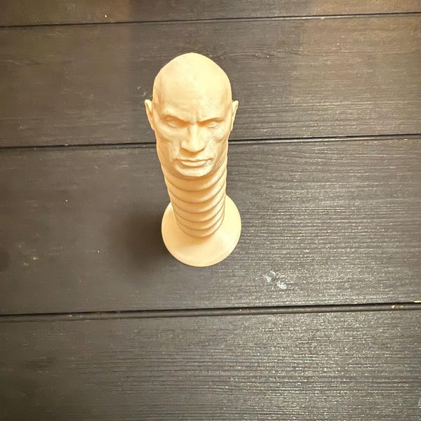 The Shrock Dwayne the Rock Johnson Shrek Crossover Bust Tiktok Toy ...