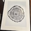 Minimalist Wall Art/tree Rings Print/wood Art Prints/tree Ring Art ...