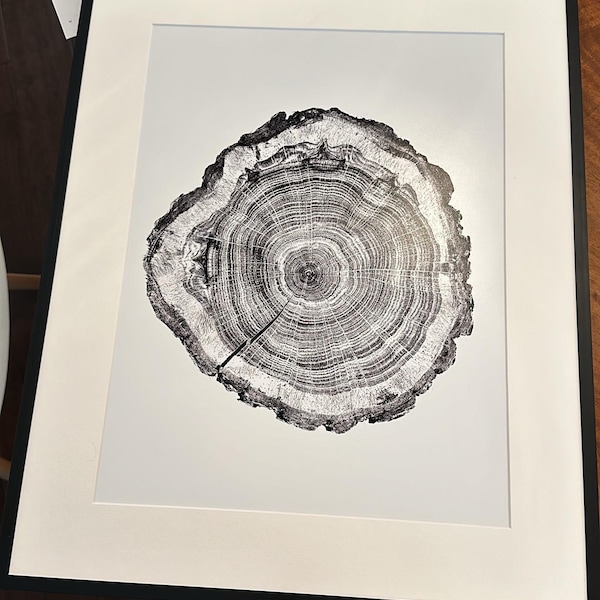 TREE RING ART Print, Tree Ring Print, Set of 6 Prints, Log Print Tree ...