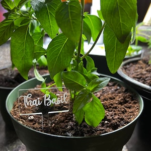 Personalized Acrylic Garden Sign Flower Pot Message Sticks | Etsy