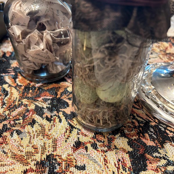 Coffin Flask, Deaths Head Moth Flask, Vampire Flask, Gothic Coffin ...