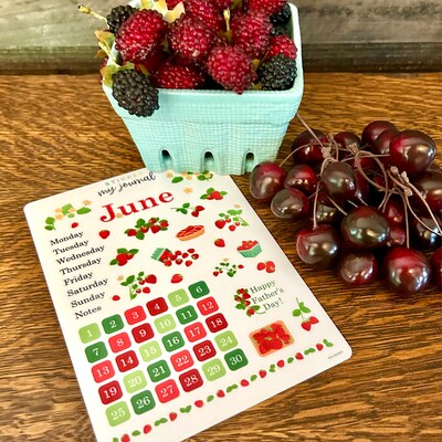 June Bullet Journal Sticker Sheet Basics Strawberry Themed Stickers for ...
