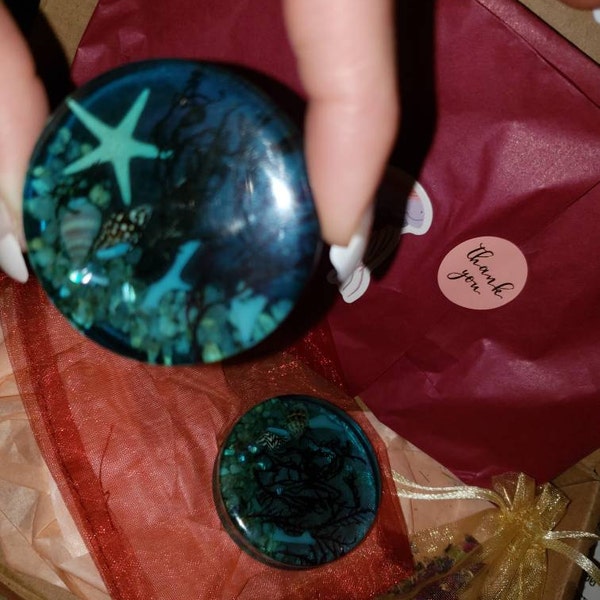 Seashell Ocean Resin Gauges, Blue Surf Gauges, Summer Beach Ear Plugs ...