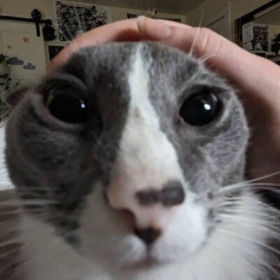 Jerma985 Funny Twitch Streamer Sticker Set - Etsy