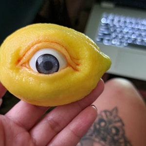 The Wall-mountable All Seeing Lemon - Etsy
