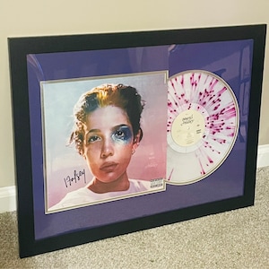 Picture Framing Mat NOT A FRAME 20Z for Two LP Records and Album Cover ...