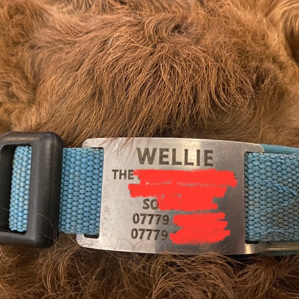 Agility and Working Dog Slip on ID Collar Tag. Stainless Steel FREE ...