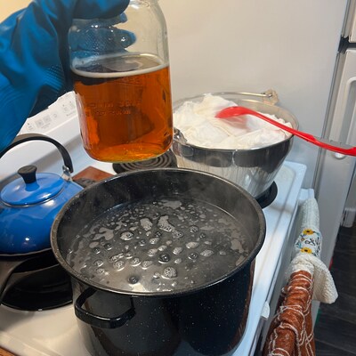 Oak Gallnut Extract Tannin Natural Dyes Quercus Infectoria Olivier ...