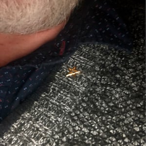 Masonic Collar Jewell Knight Kadosh of the 30th Degree for the Anchient ...