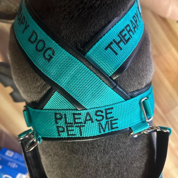 X Back Y Front Dog Harness - Custom Made With Vinyl and Webbing - Etsy
